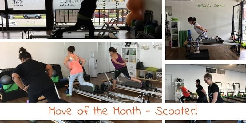 Scooter - Move of the Month - Dec 2016 | Move Move Pilates